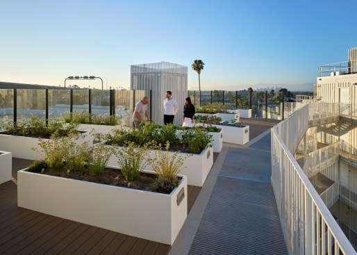 Isla Intersections - Architect Magazine