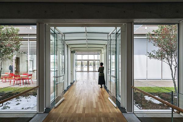 The Renzo Piano Pavilion at the Kimbell Art Museum - Architect Magazine