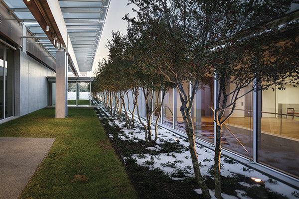 The Renzo Piano Pavilion at the Kimbell Art Museum - Architect Magazine