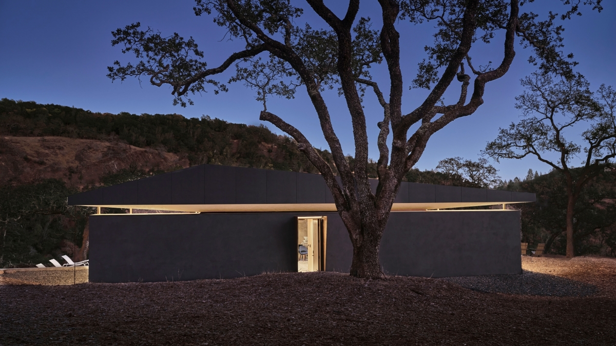 Leit House - Architect Magazine