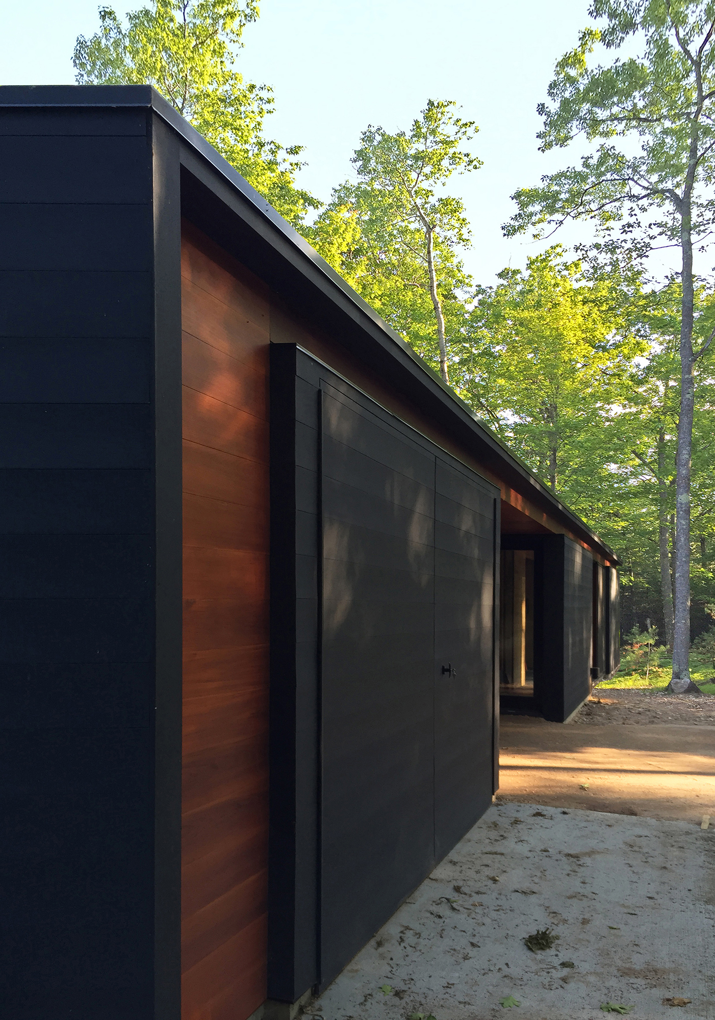 Linear Cabin - Architect Magazine