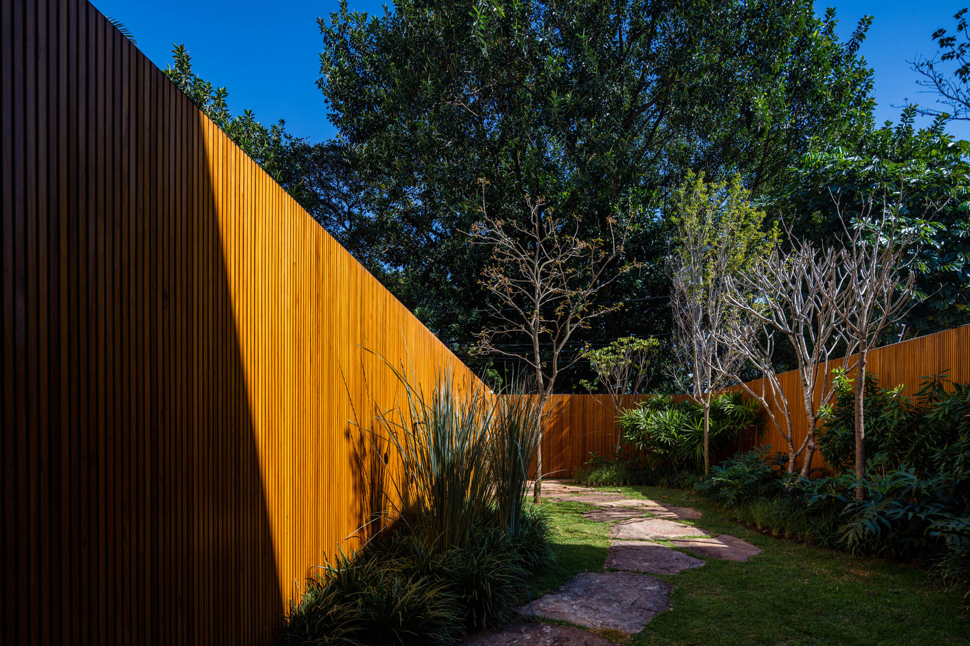 C+C House - Architect Magazine