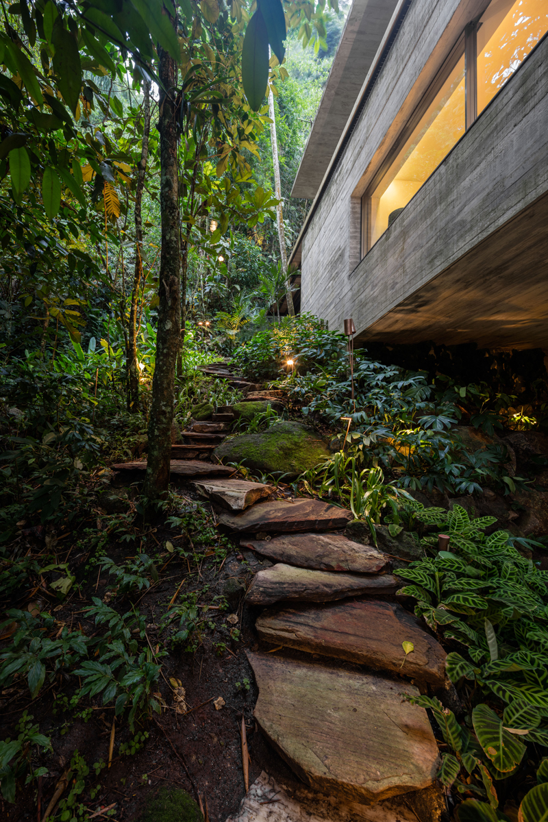 Jungle House - Architect Magazine