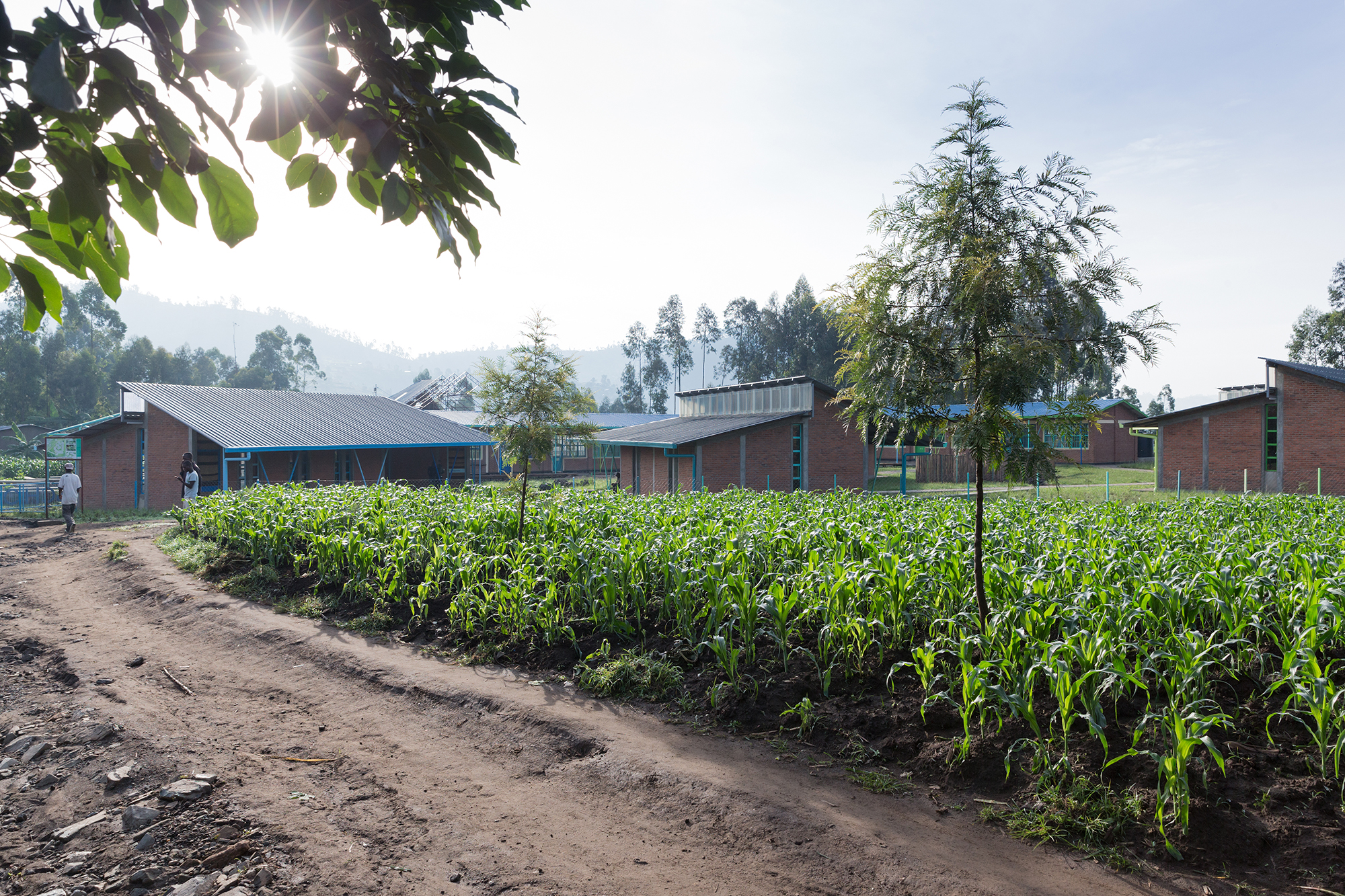 The Mubuga Primary School - Architect Magazine