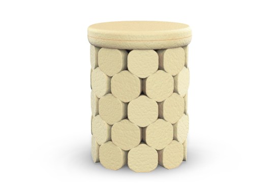 Re-Evaluating Our Relationship with Natural Systems Through Design