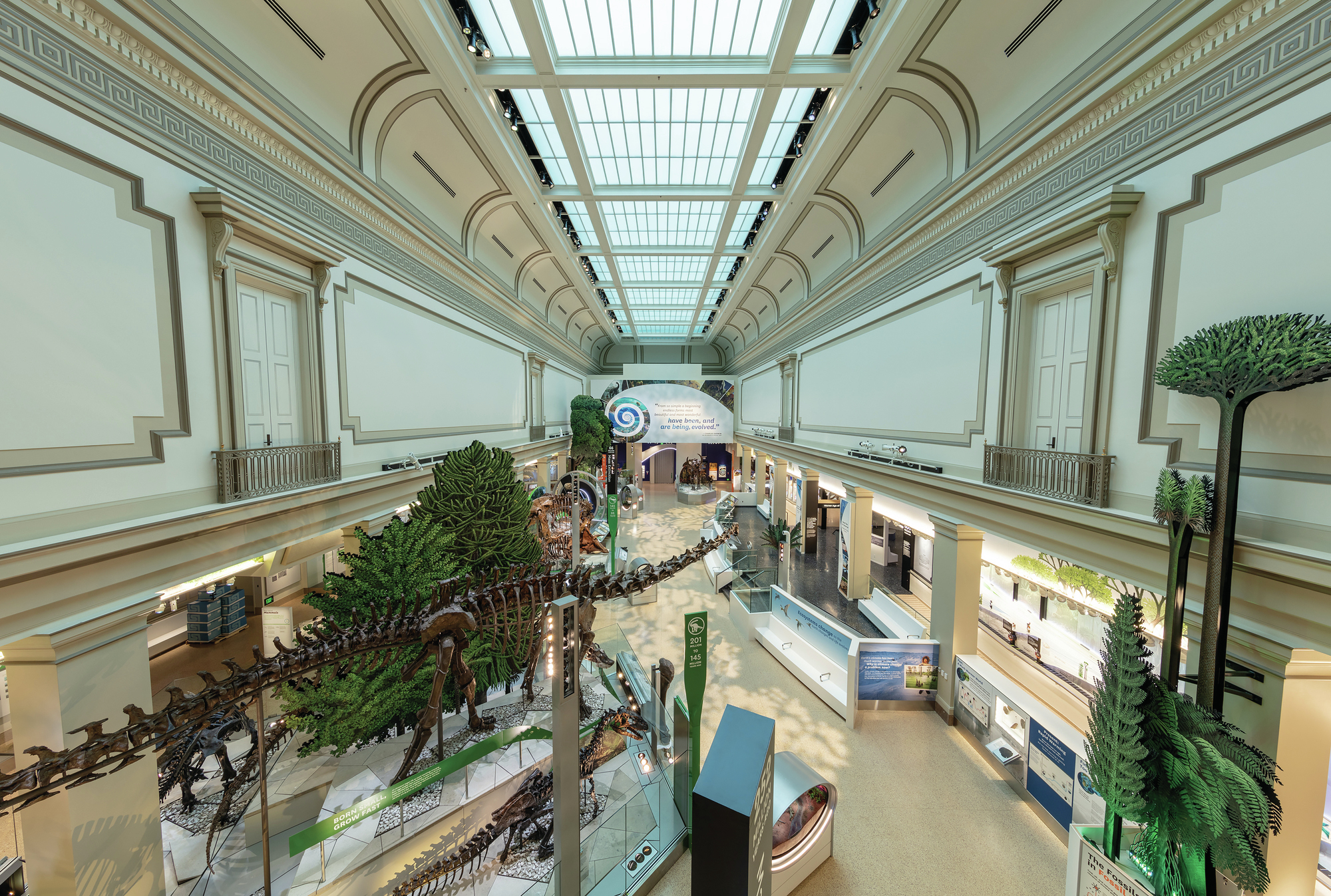 Restoration of the David H. Koch Hall of Fossils - Architect Magazine