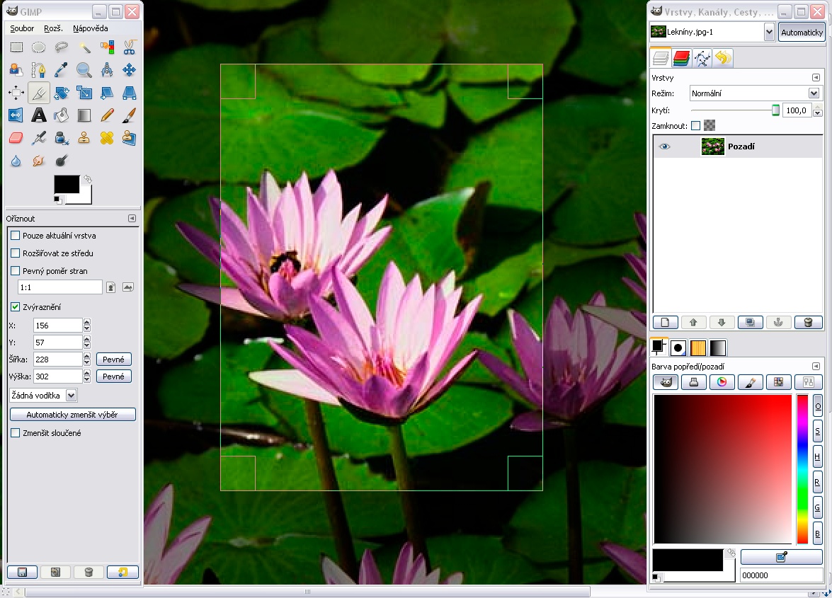 7 Open-Source Software Options for Architects