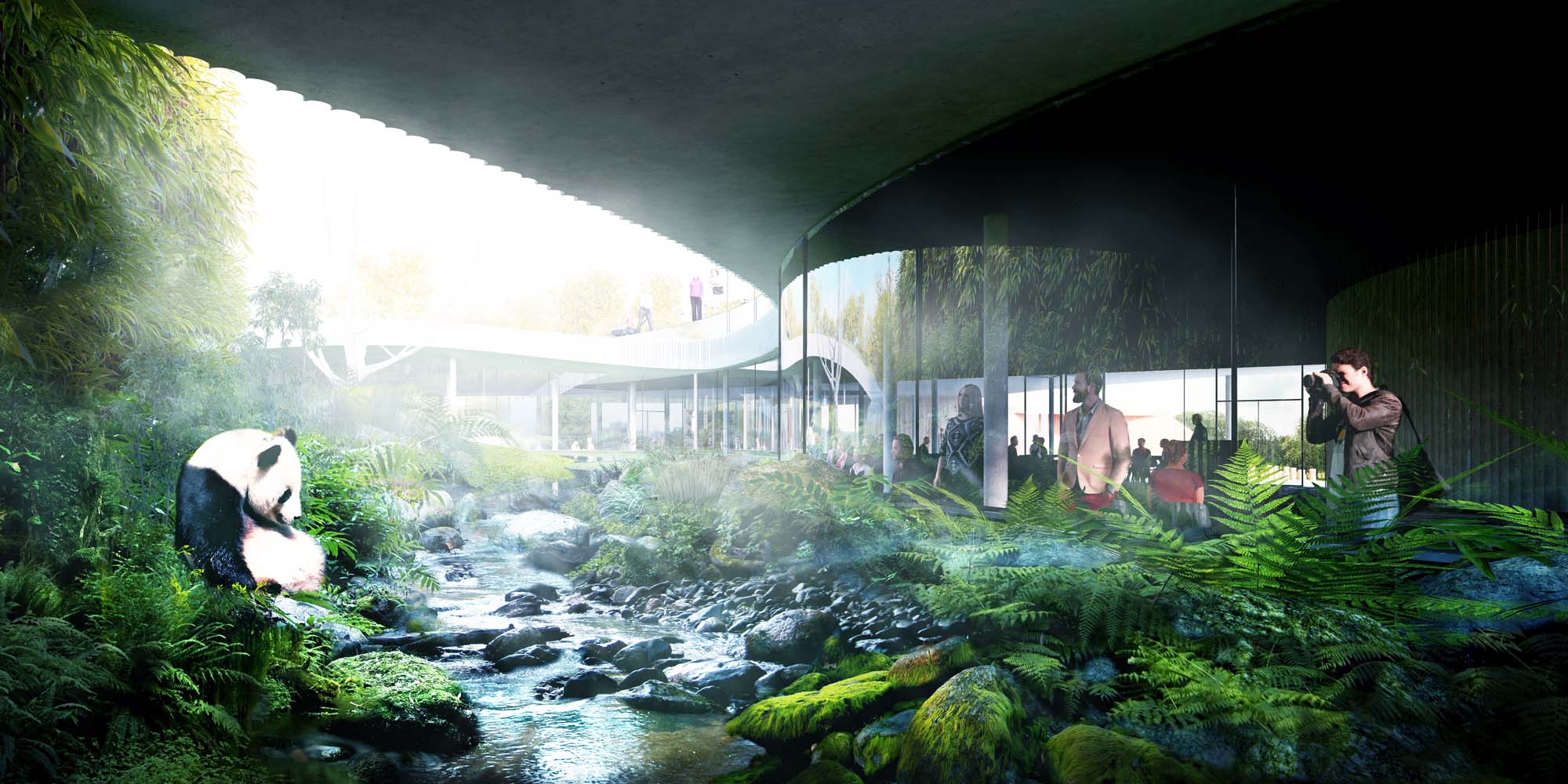 Panda House - Architect Magazine