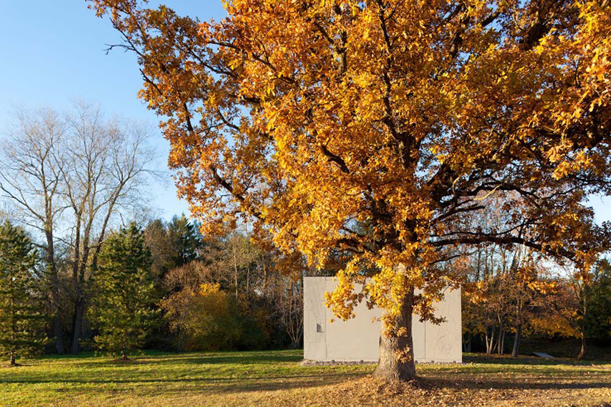 KODA House - Architect Magazine