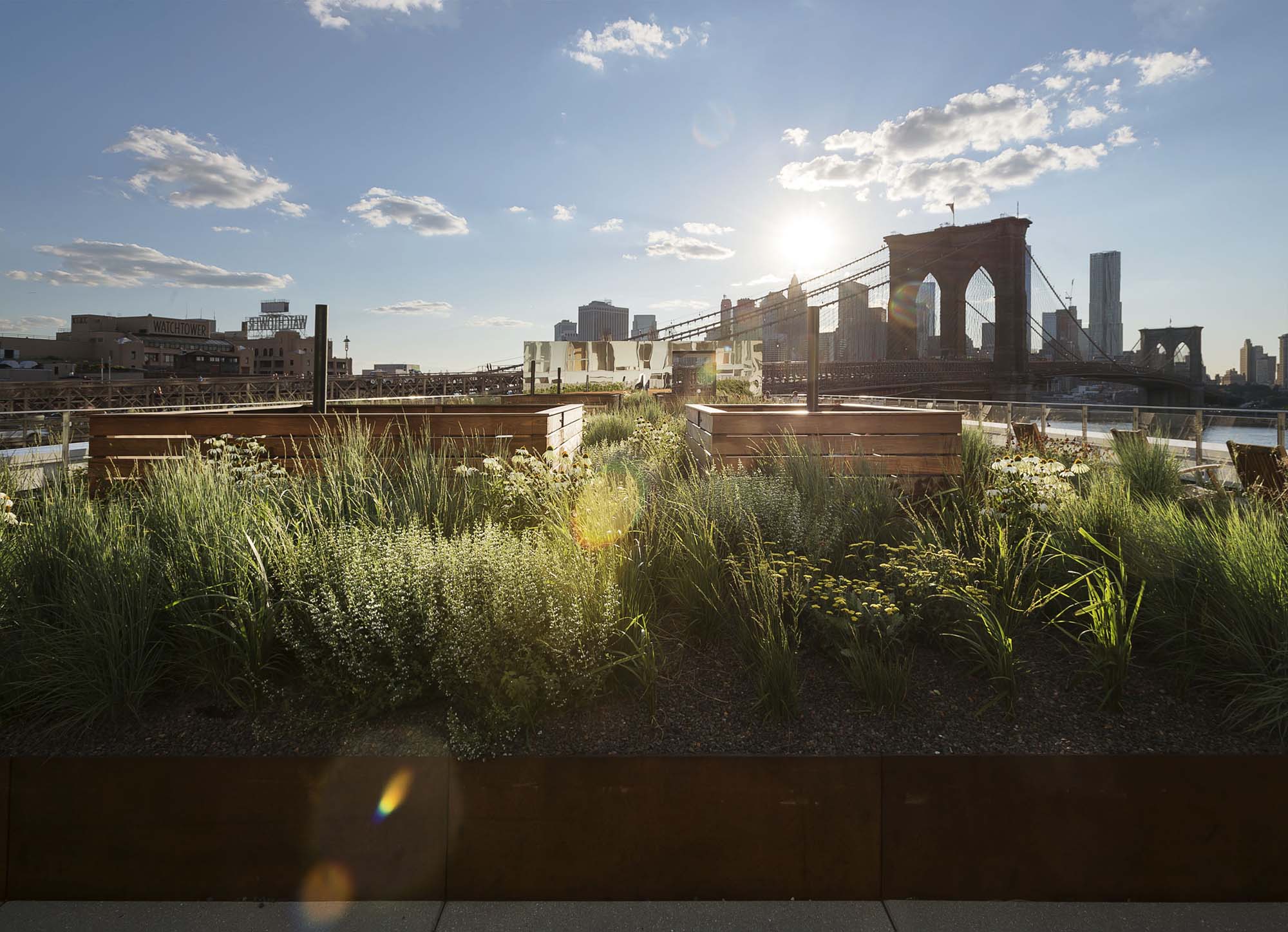 Roof Terrace at 60 Water Street - Architect Magazine