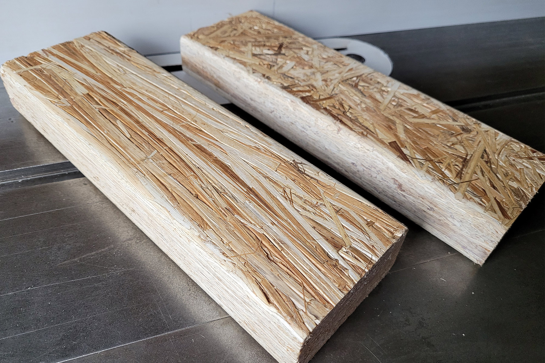 Hemp: The Next Disruptor in Construction After Wood?