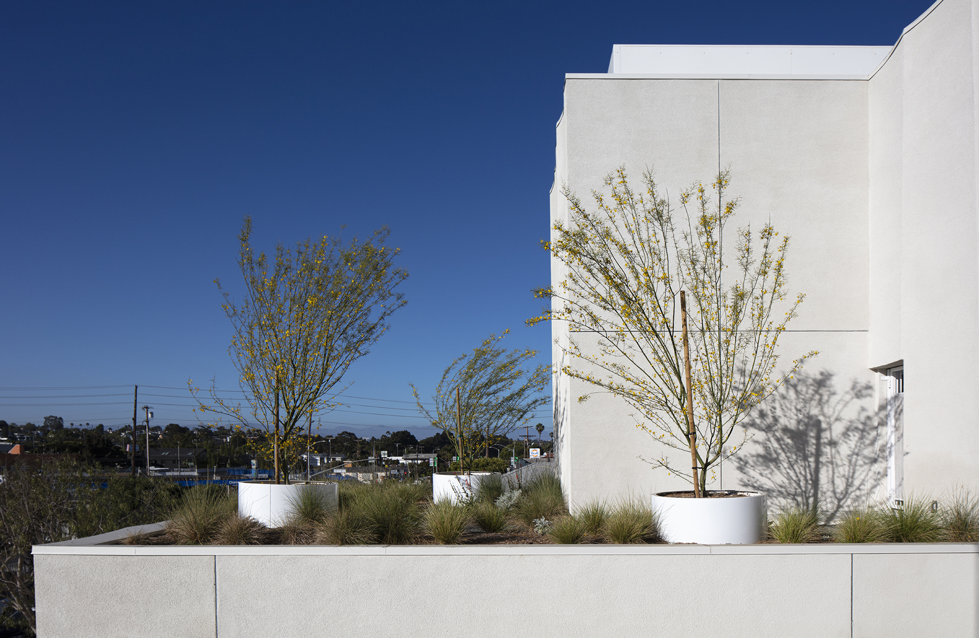 The Rose Apartments - Architect Magazine
