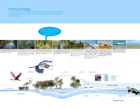 Salty Urbanism: Sea Level Rise Adaptation Strategies for Urban Areas ...