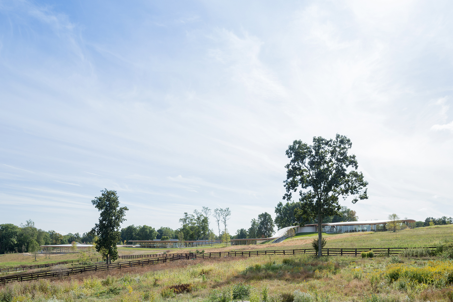 Grace Farms - Architect Magazine