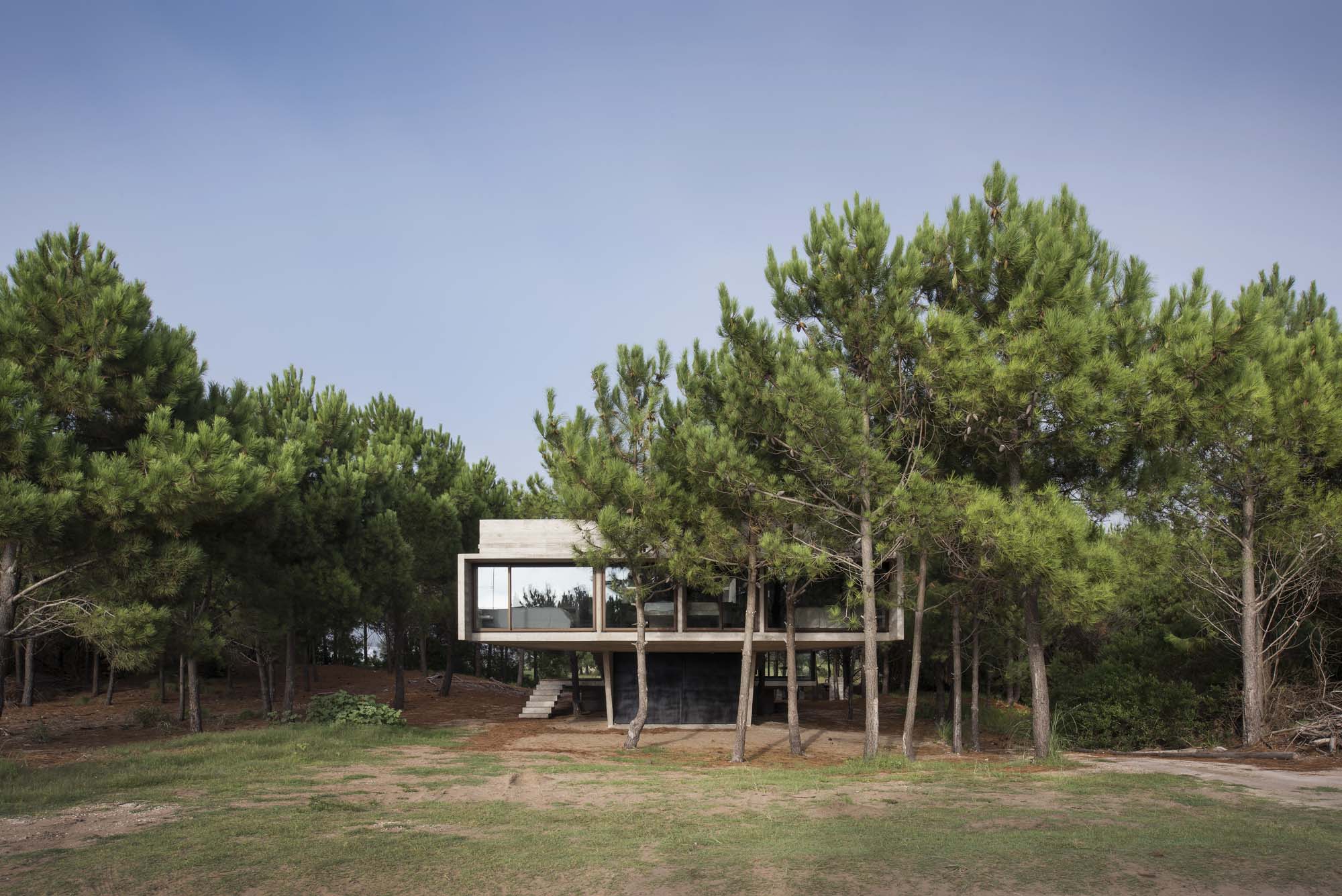 S+J House - Architect Magazine