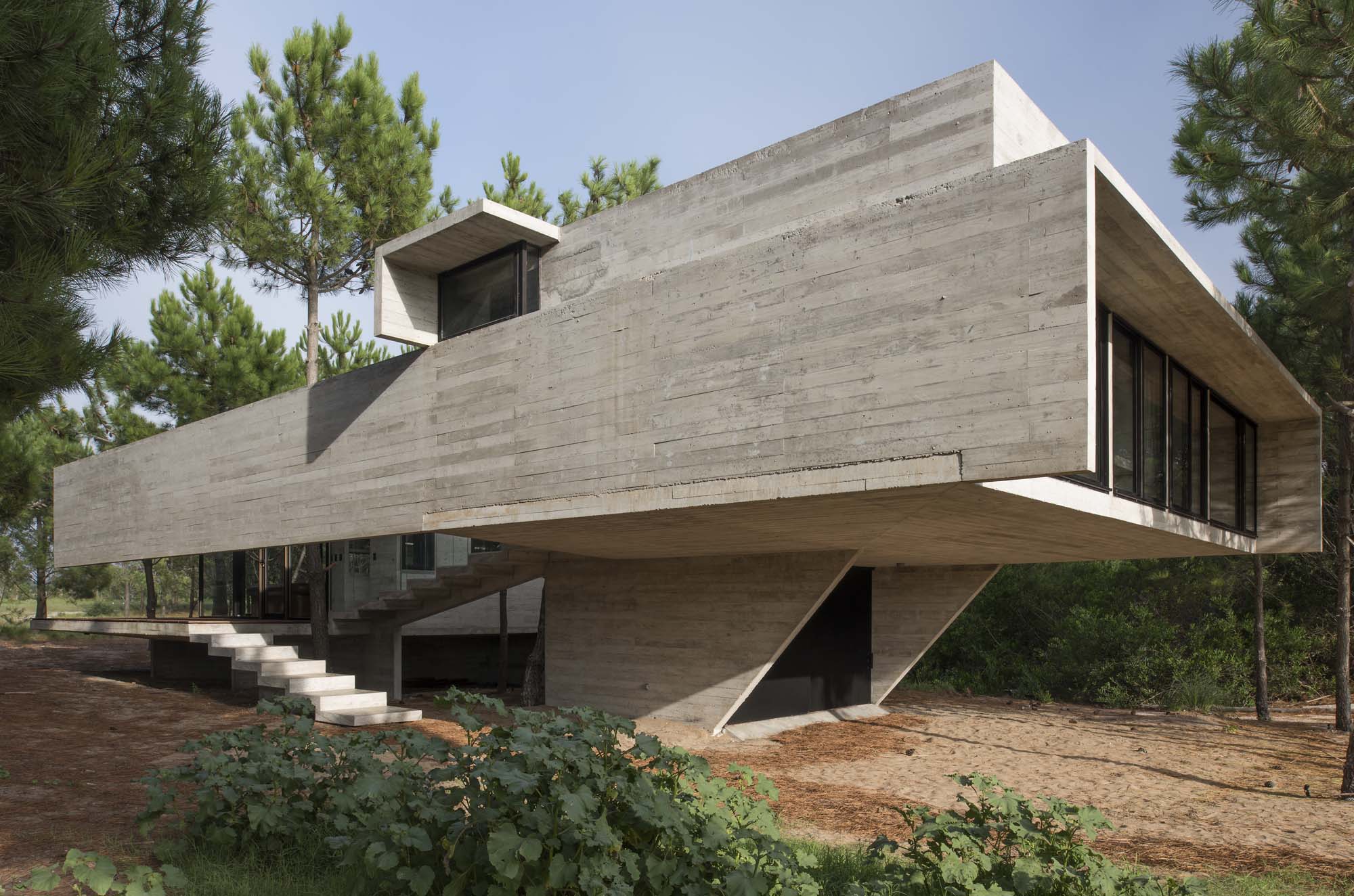 S+J House - Architect Magazine