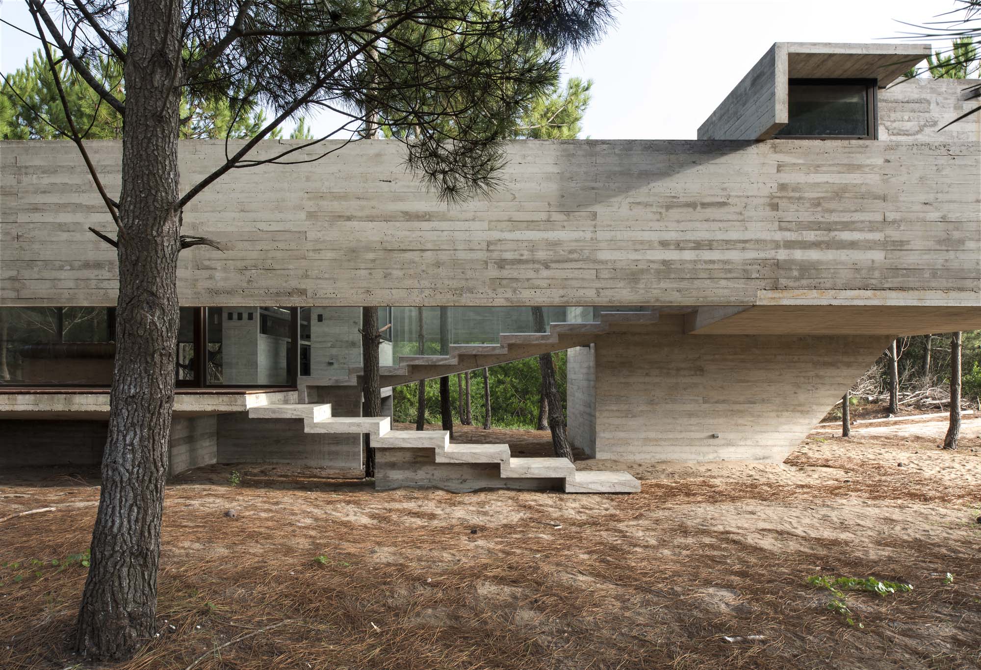 S+J House - Architect Magazine