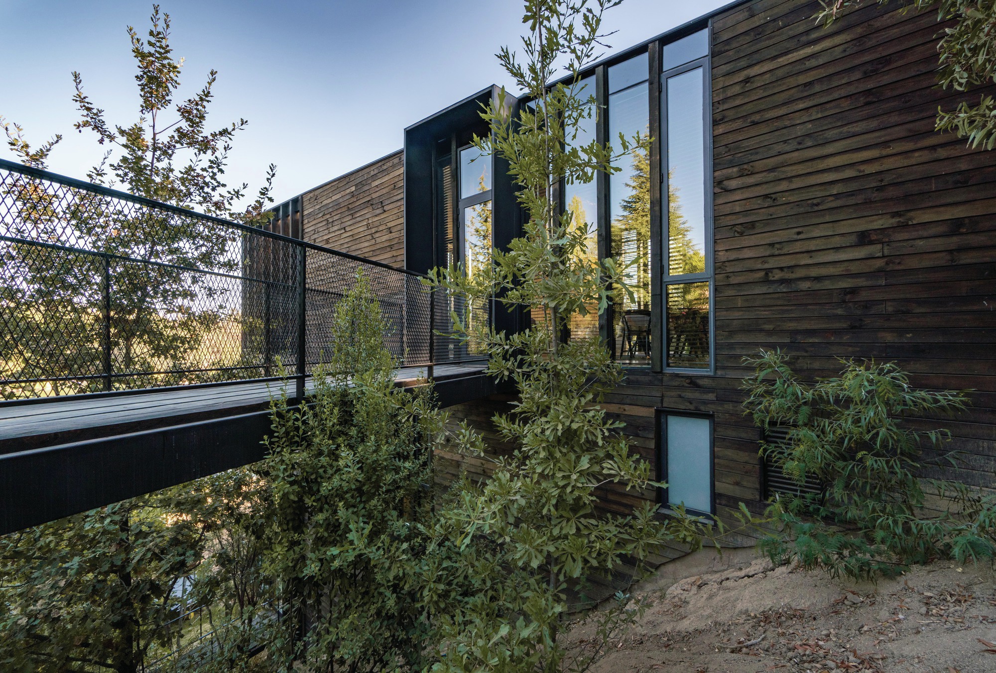 Slope House - Architect Magazine