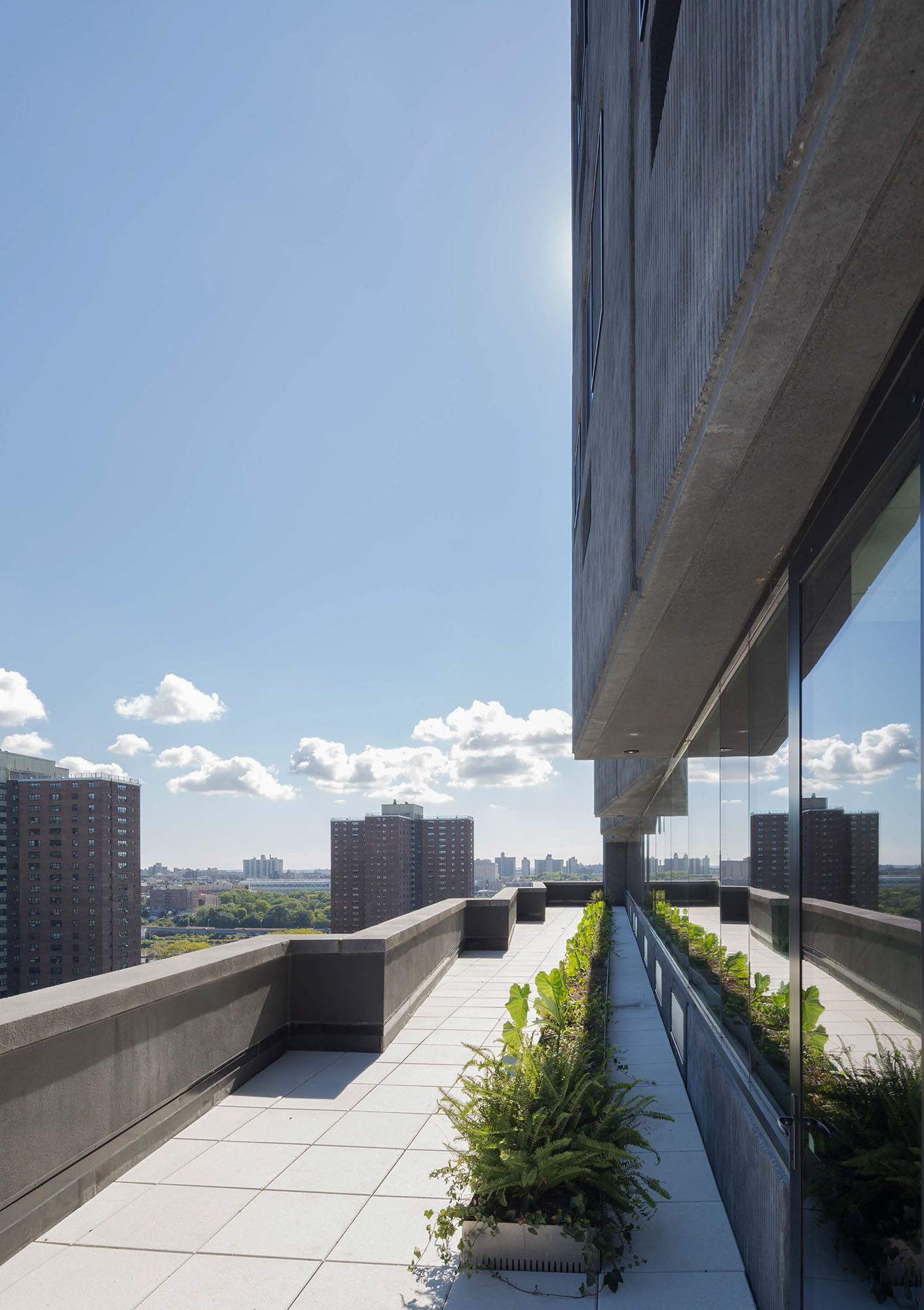 Sugar Hill Housing - Architect Magazine