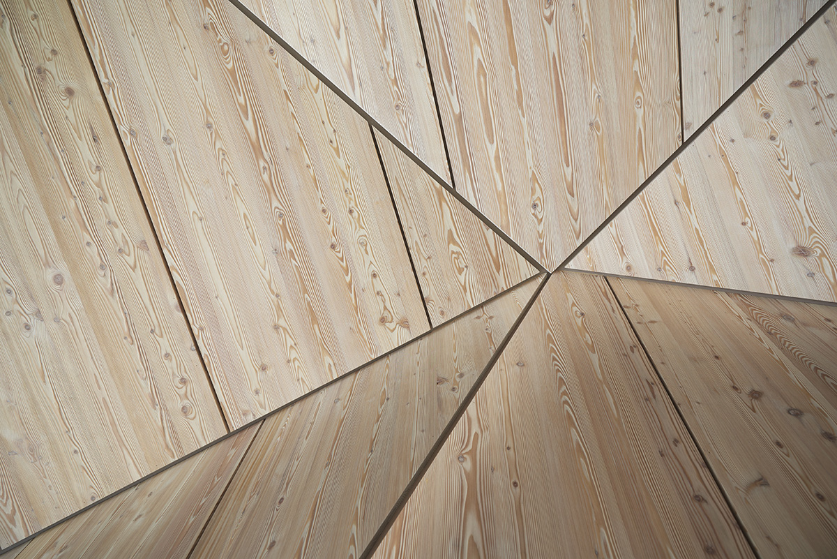 Suspended Forest - Architect Magazine