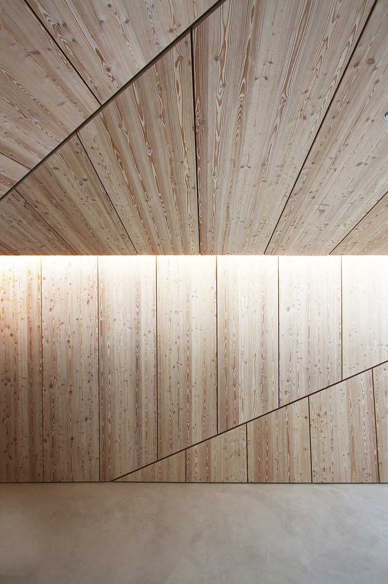 Suspended Forest - Architect Magazine