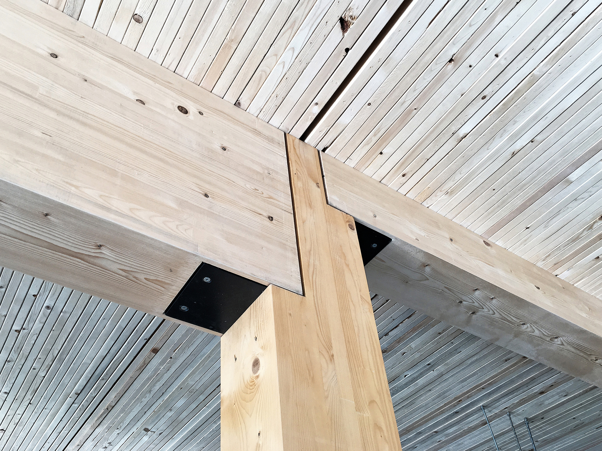 T3 Becomes the First Modern Tall Wood Building in the U.S.