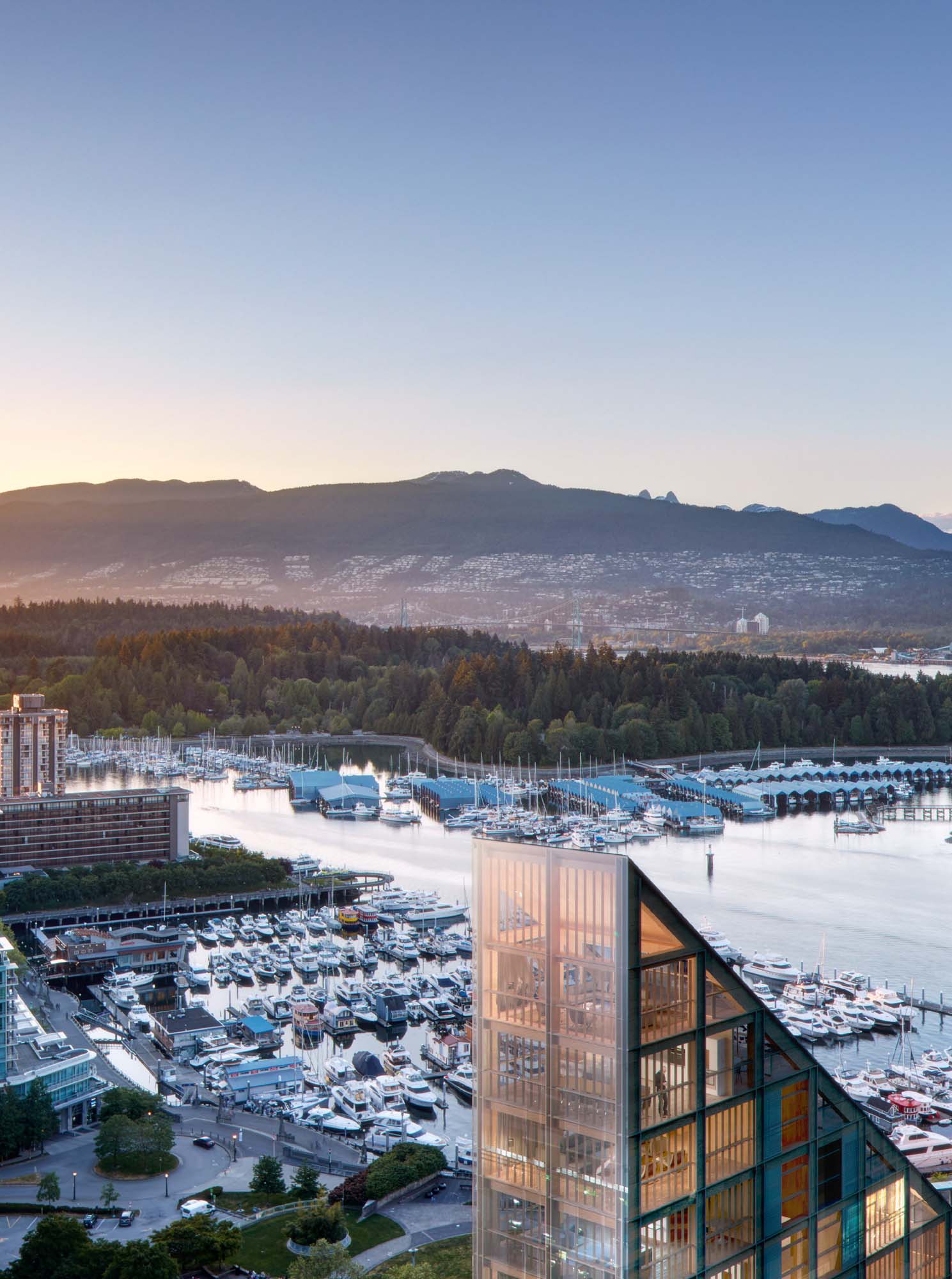 Terrace House - Architect Magazine