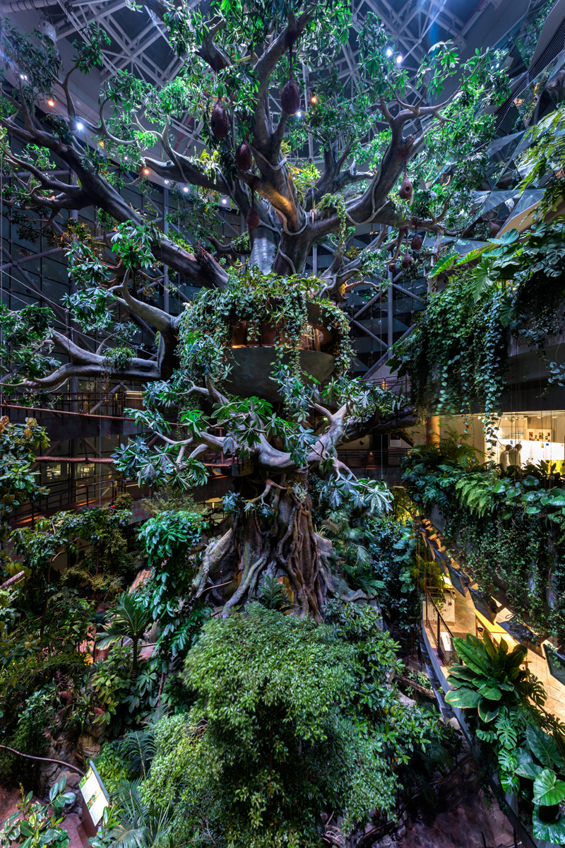 The Green Planet - Architect Magazine