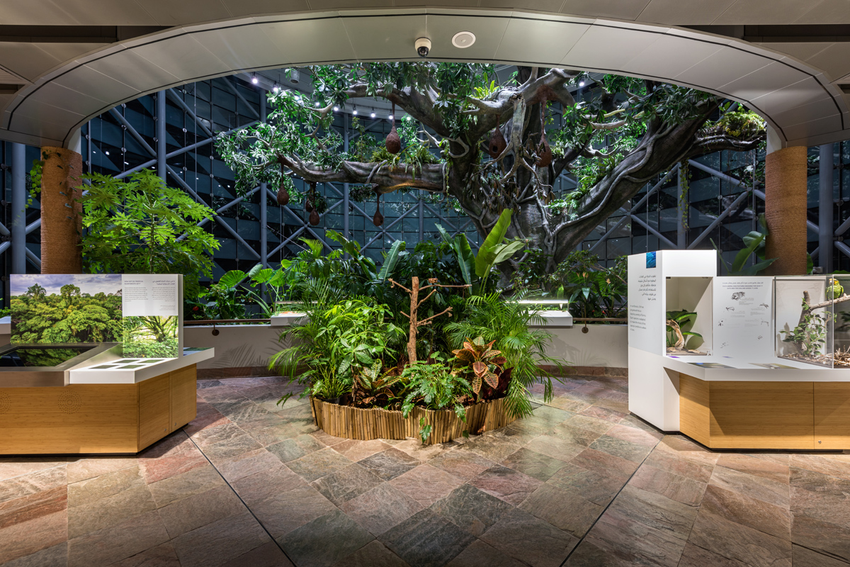 The Green Planet - Architect Magazine