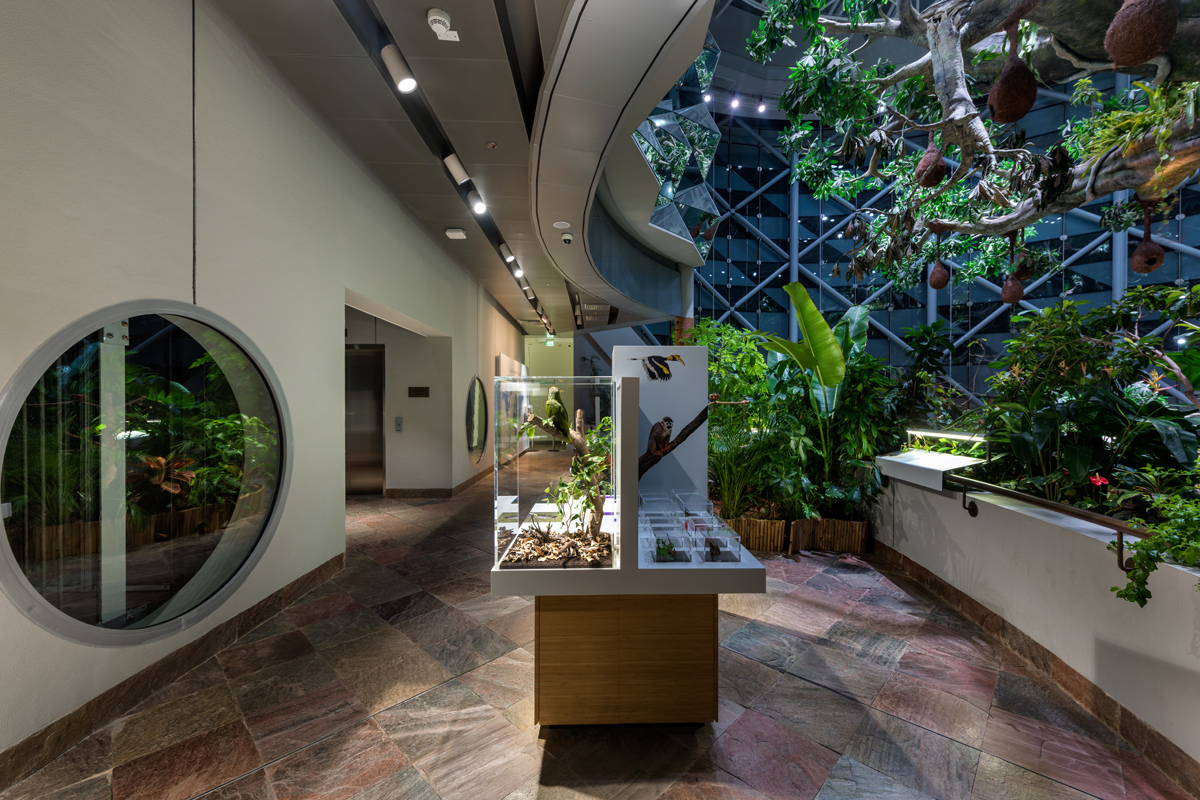 The Green Planet - Architect Magazine