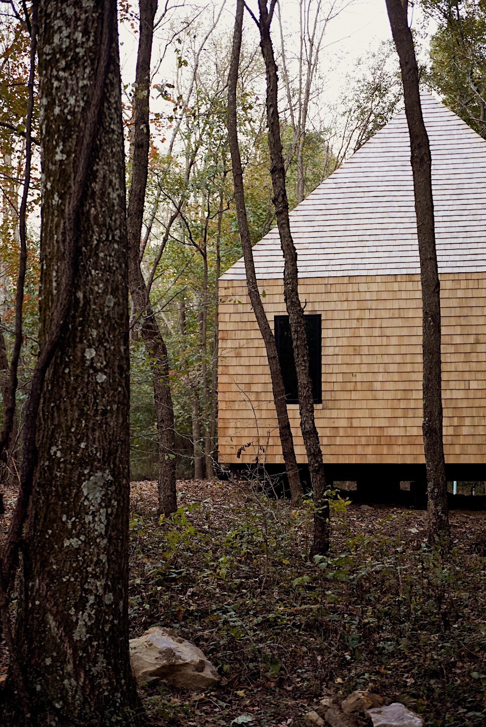 The Hut - Architect Magazine