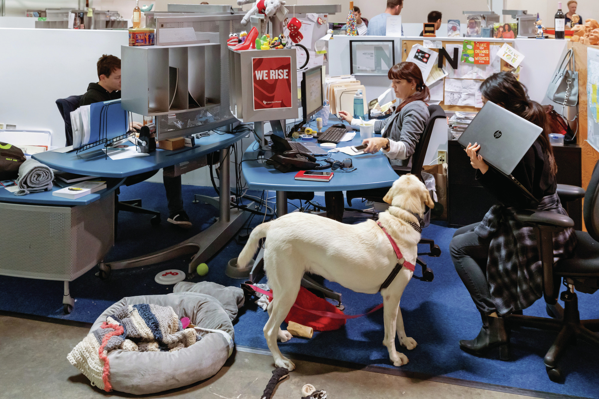 A Nostalgic Look at When Architects Tried To Make the Office Better