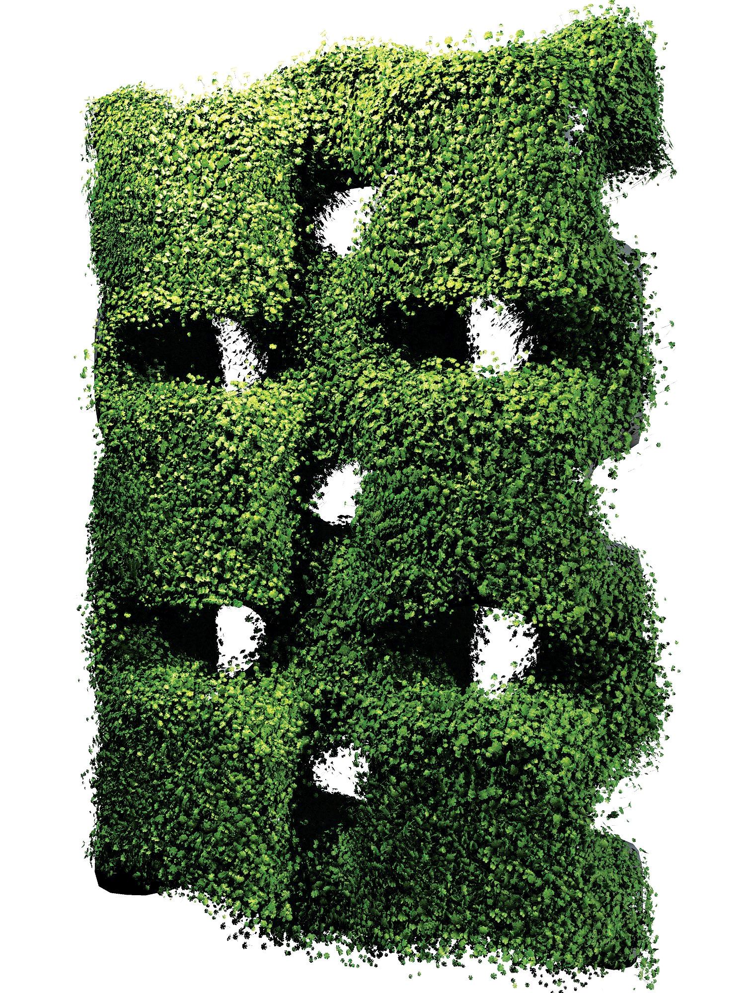 Green Wall Systems: Active Phytoremediation Wall System