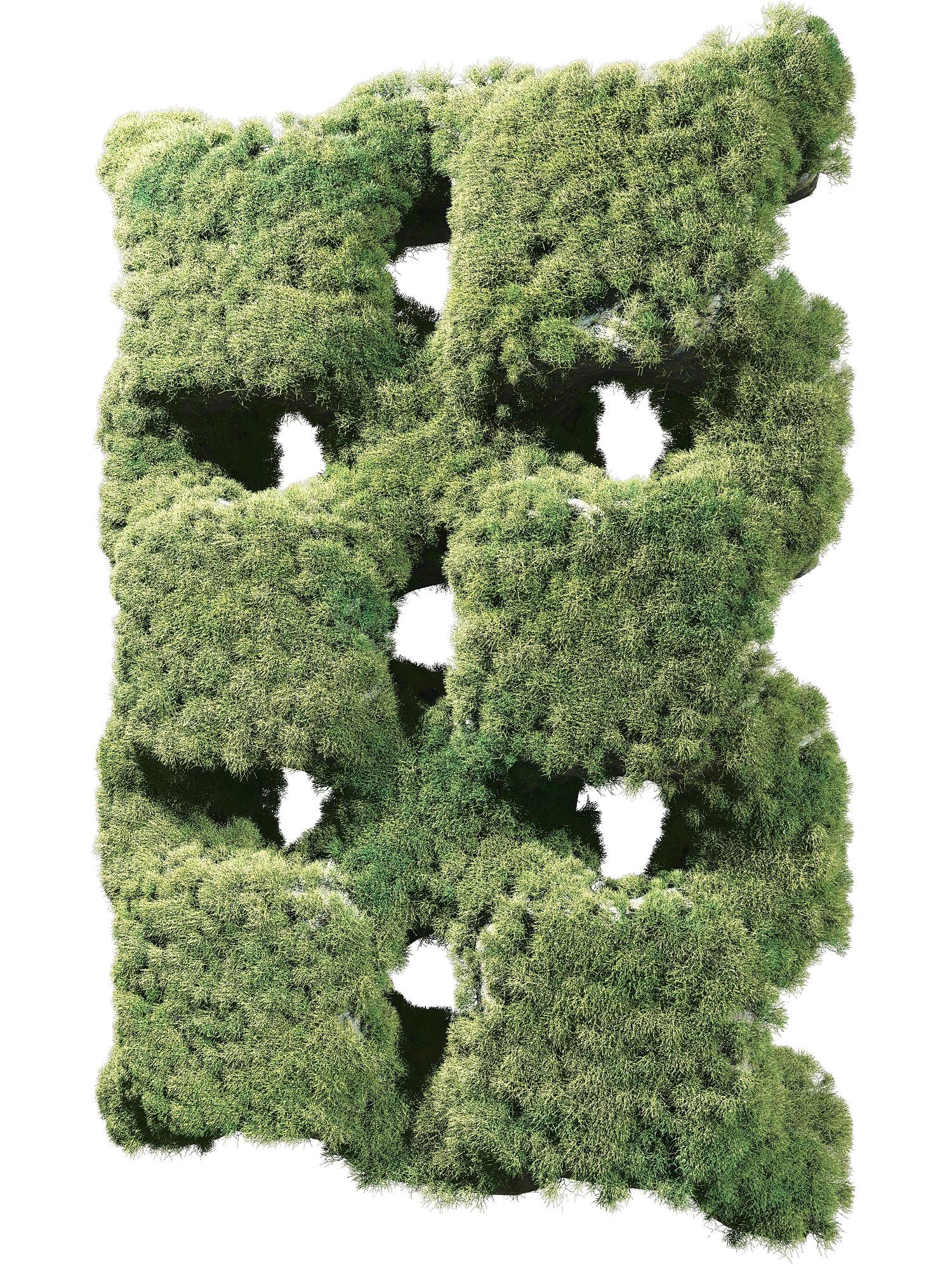 Green Wall Systems: Active Phytoremediation Wall System