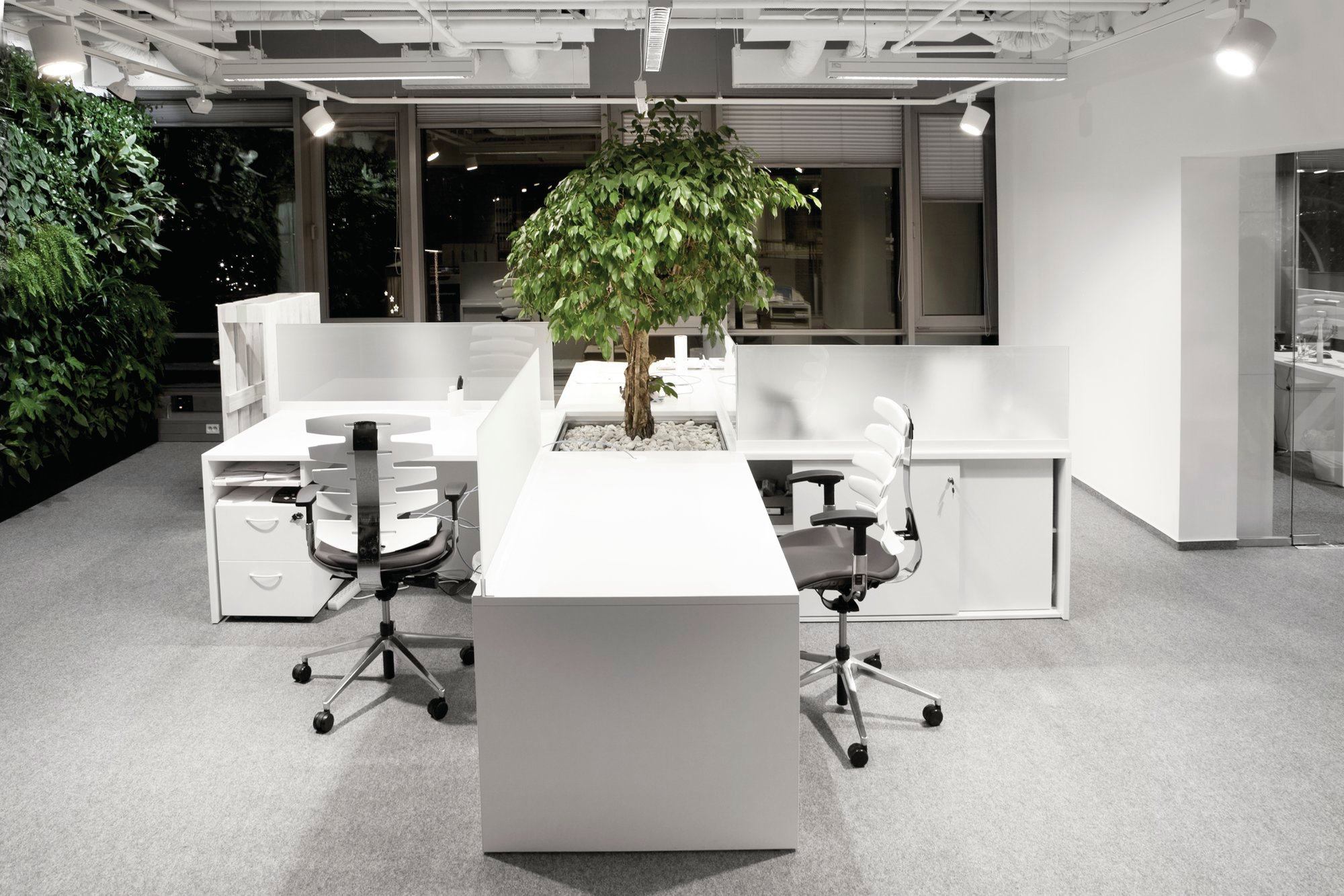 Bausch + Lomb Headquarters, designed by 137Kilo Architects and Beza Projekt