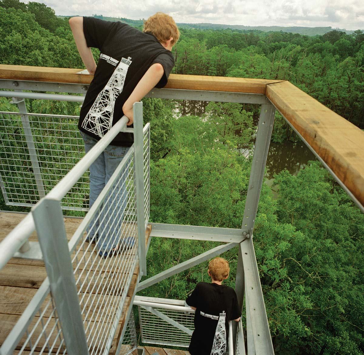 Birding Tower
