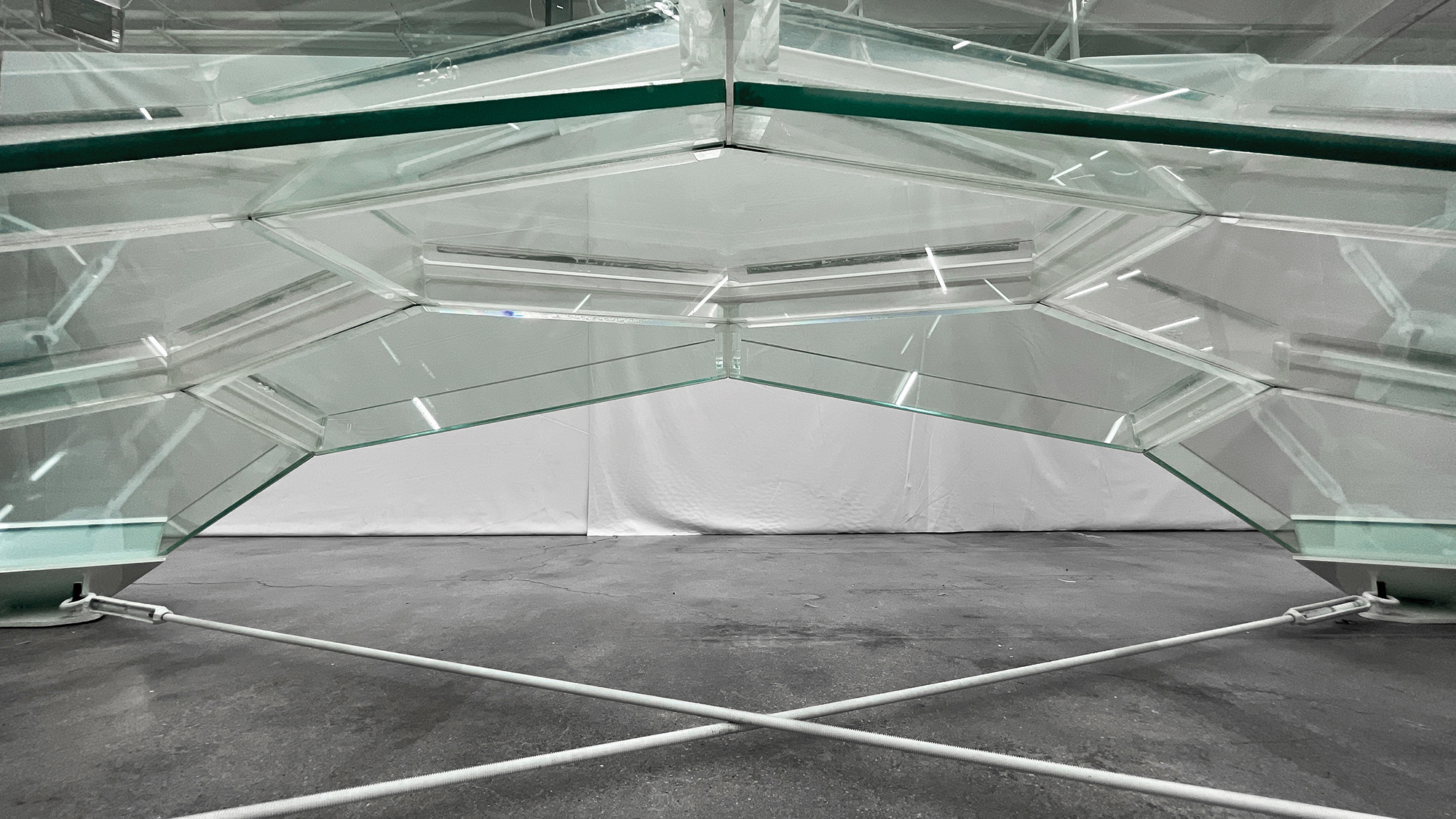 R+D Award: Tortuca