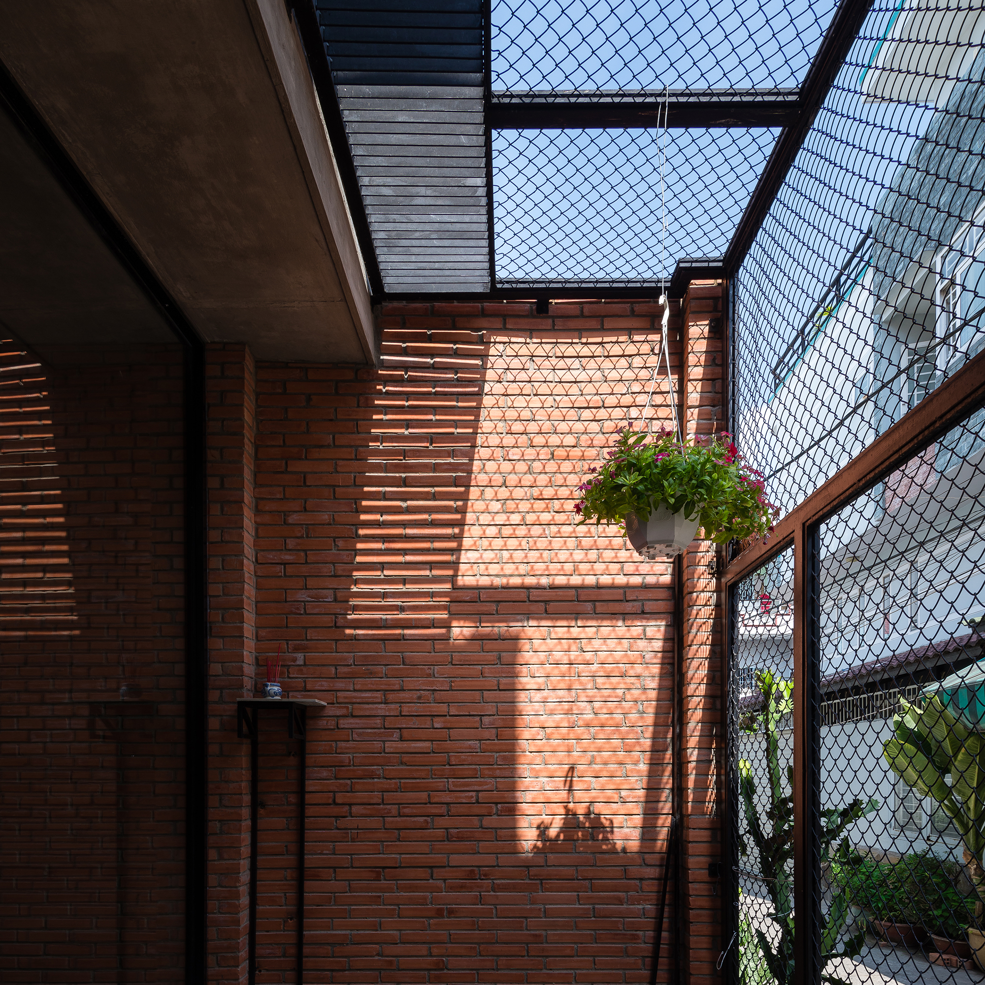 Wasp House - Architect Magazine