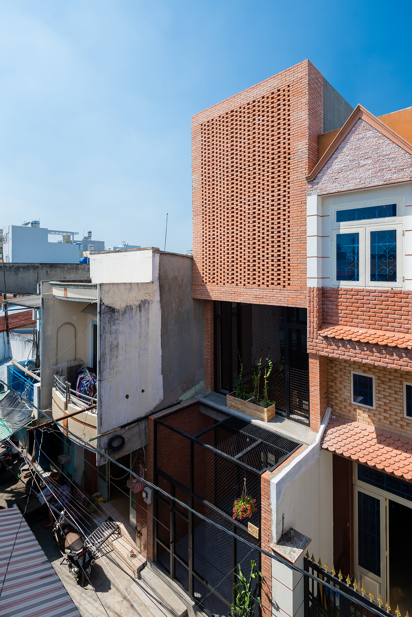 Wasp House - Architect Magazine