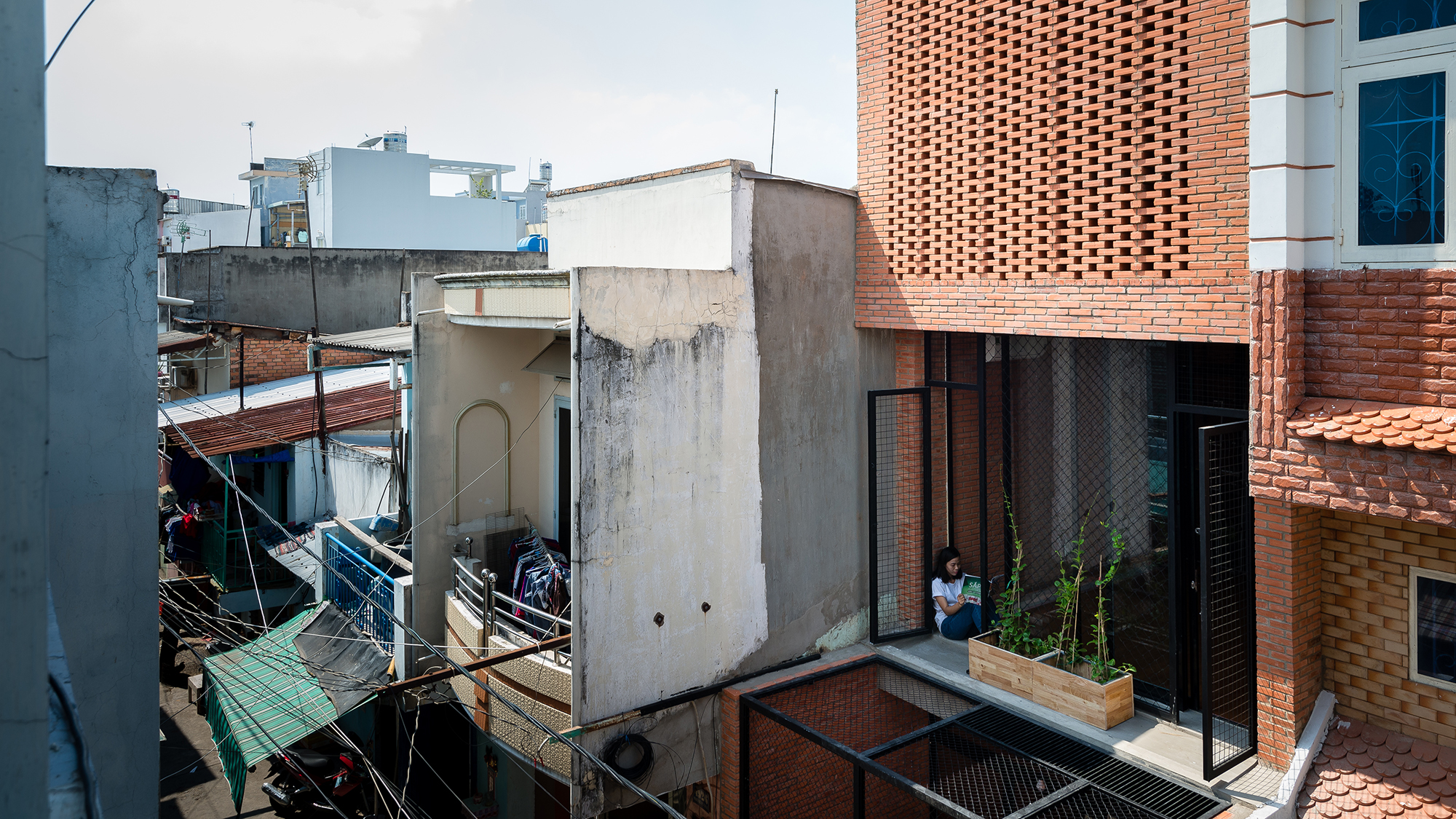 Wasp House - Architect Magazine