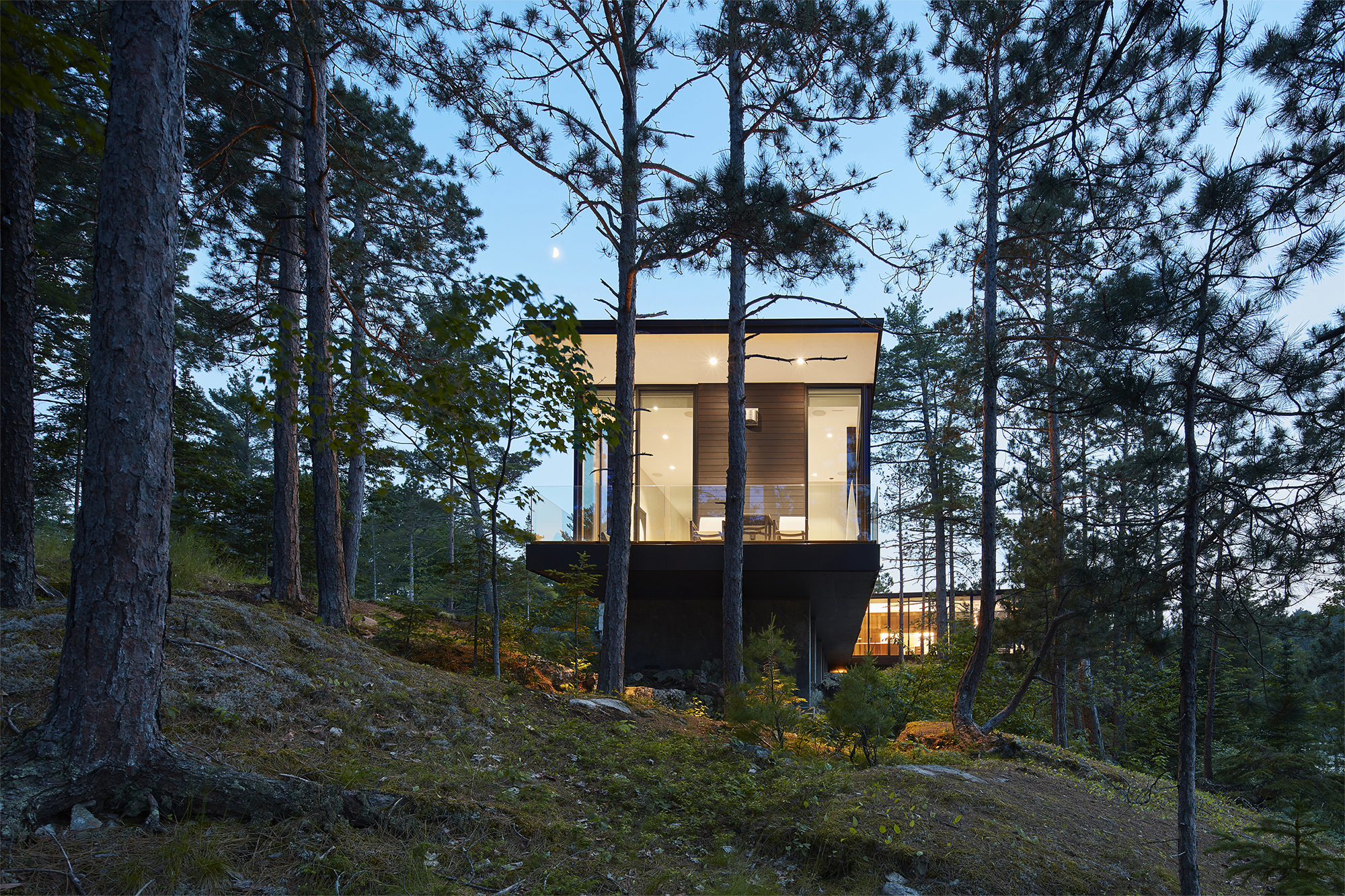 X House - Architect Magazine