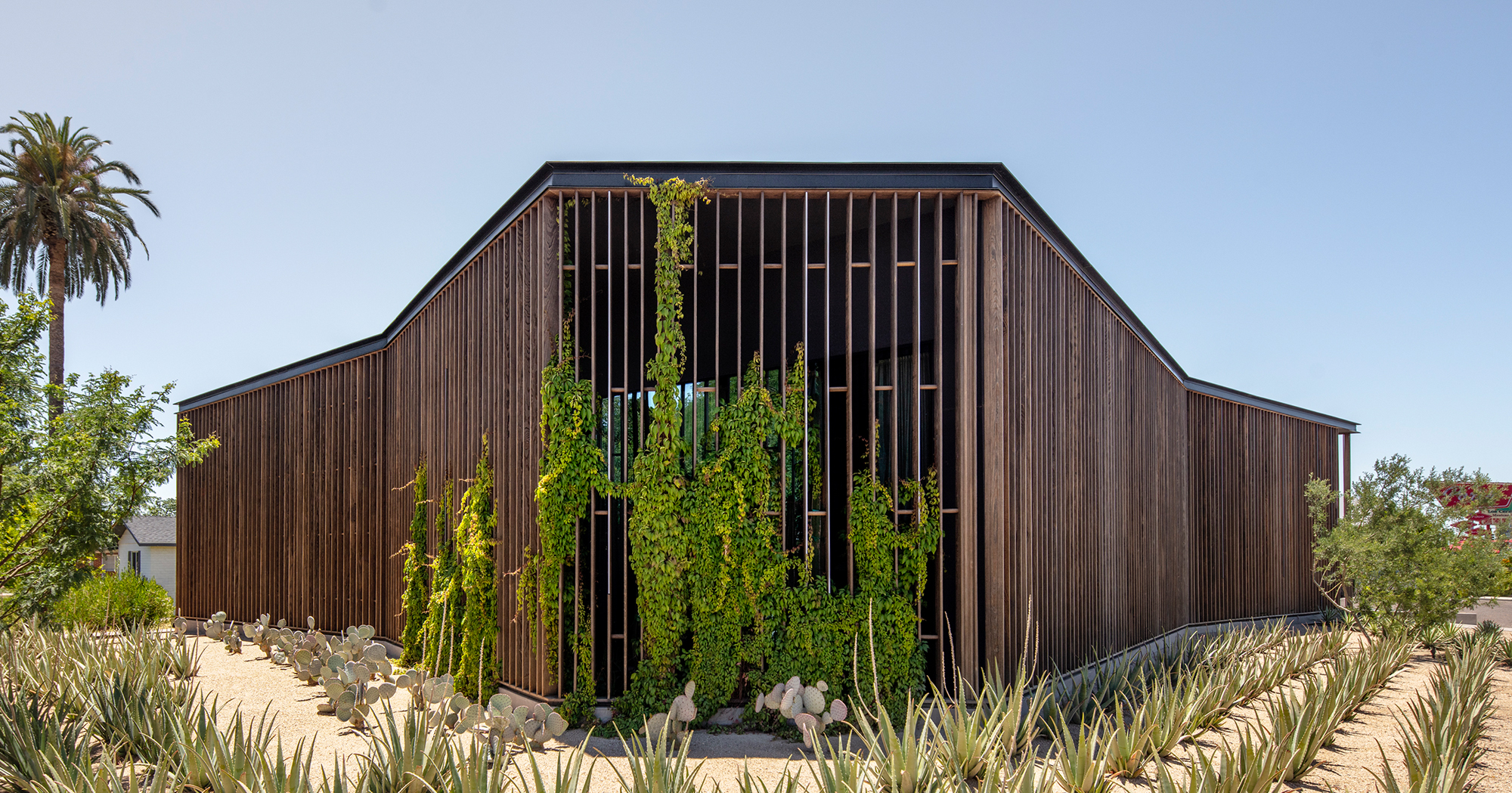 Xero Studio - Architect Magazine