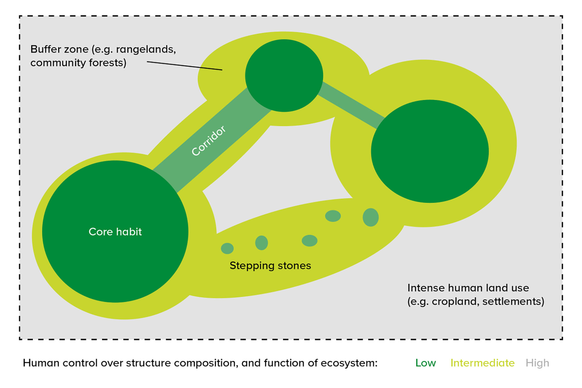 Five Projects That Showcase Rewilding in Action