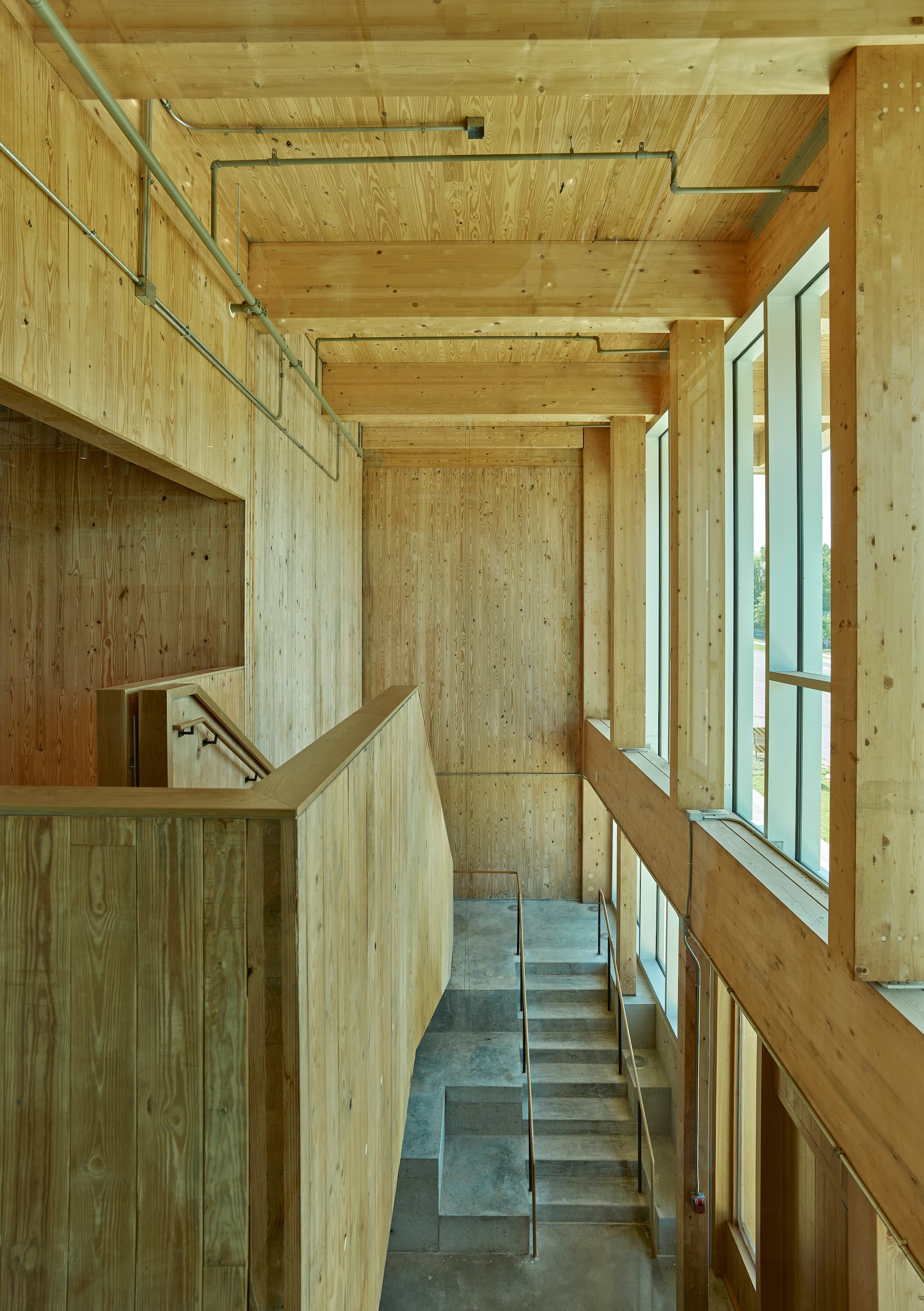 Timber Takes the Spotlight: Grafton Architects’ First U.S. Project ...