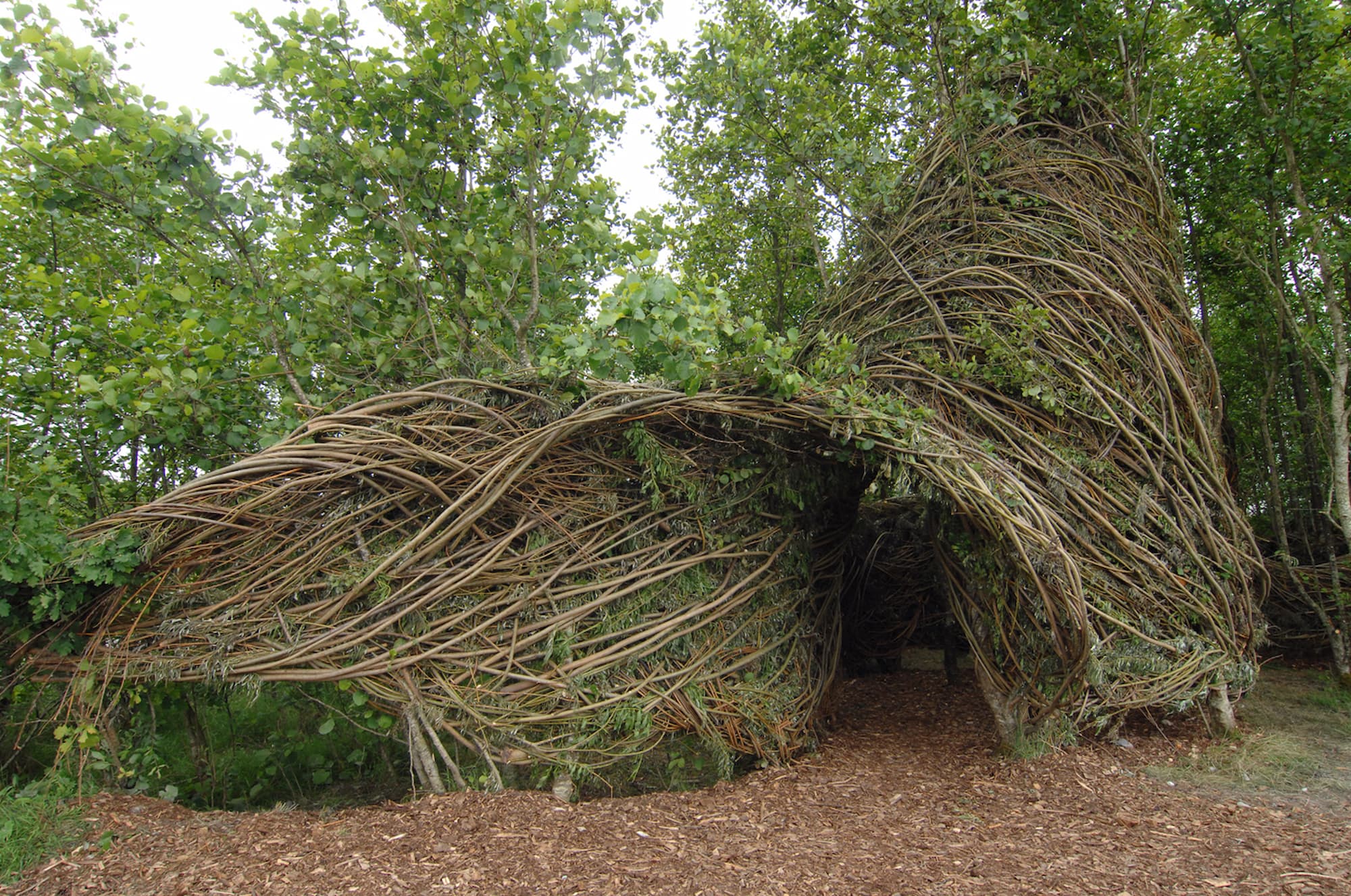 ecological architecture Archives - Architect Magazine