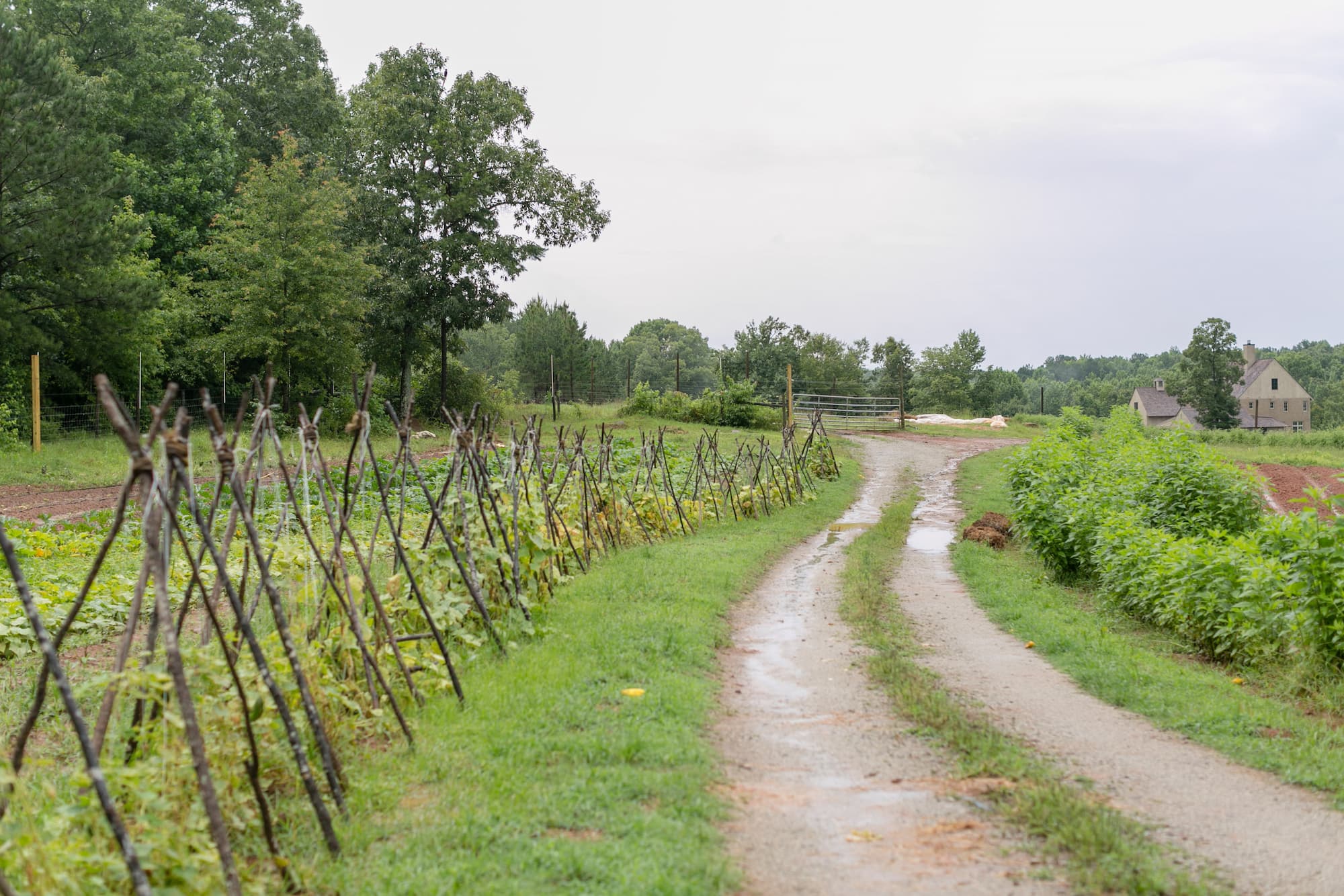 Serenbe’s Radical Vision: The Agrihood That Rewrites the Rules of ...