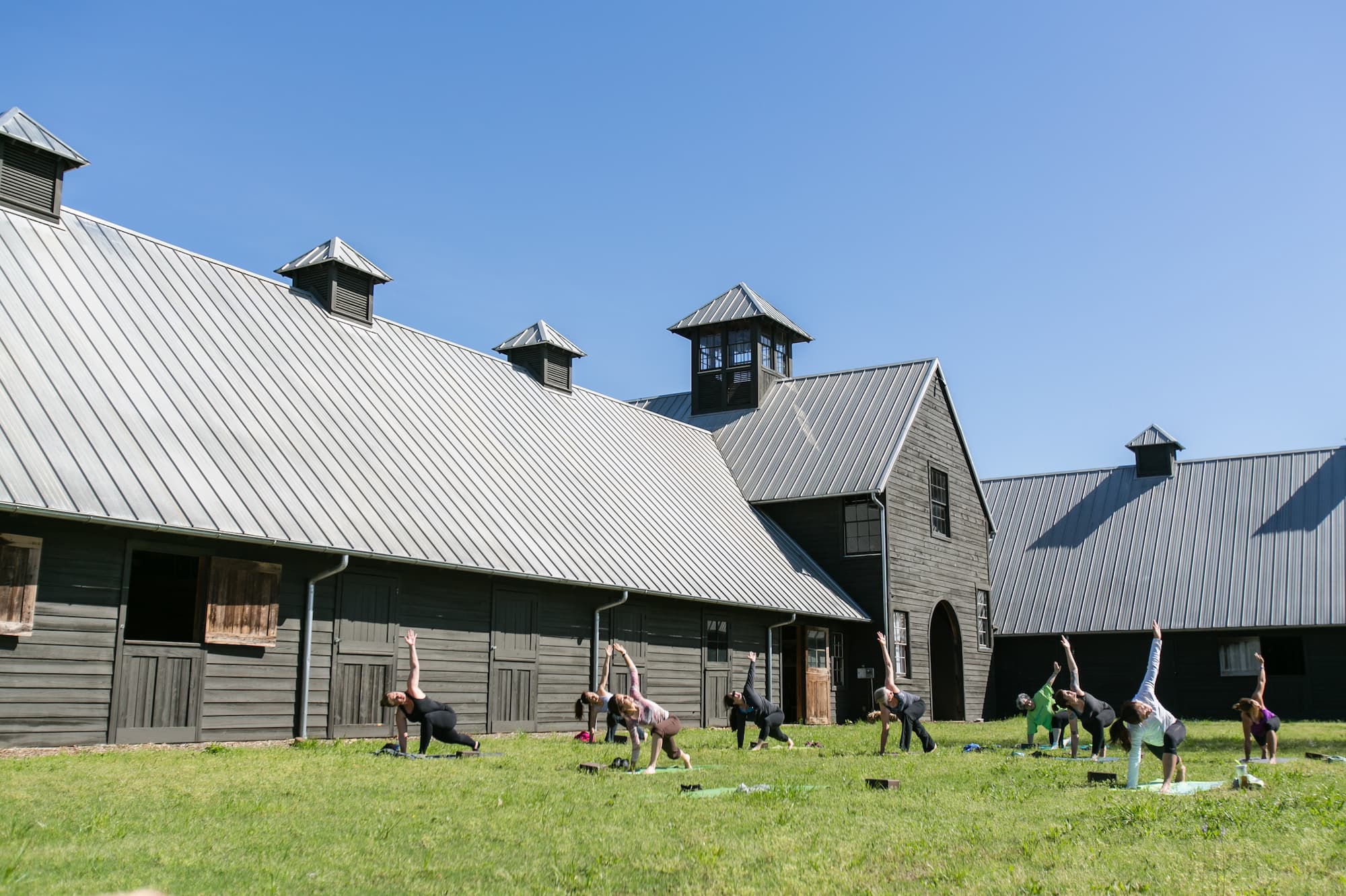Serenbe’s Radical Vision: The Agrihood That Rewrites the Rules of ...