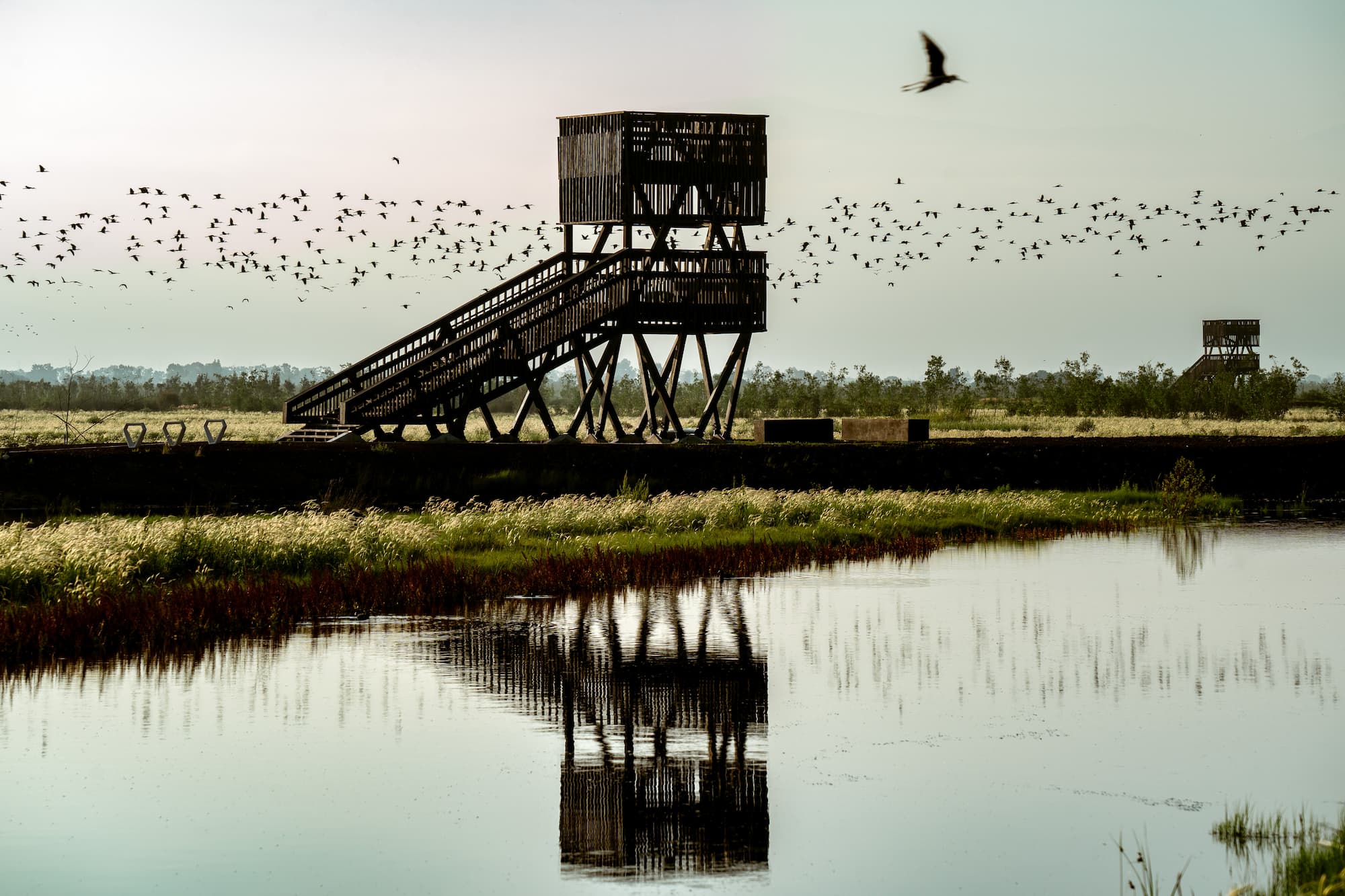 David M. Childs, Architectural Visionary Behind One World Trade Center ...