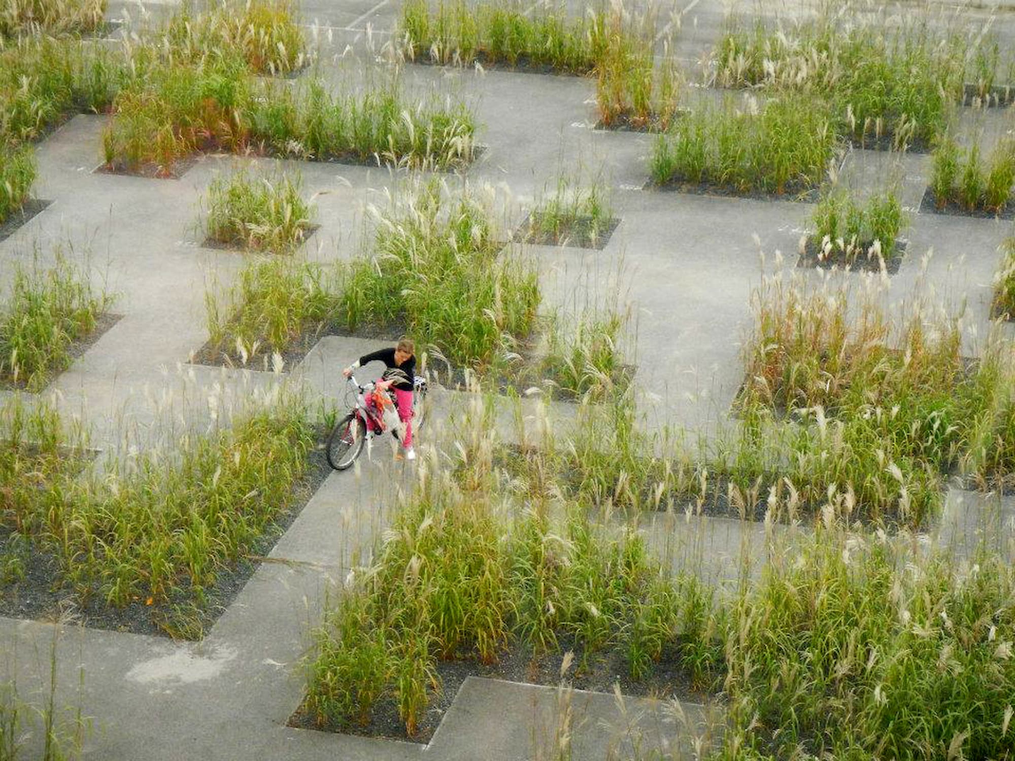 Architecture 2030 - Architect Magazine