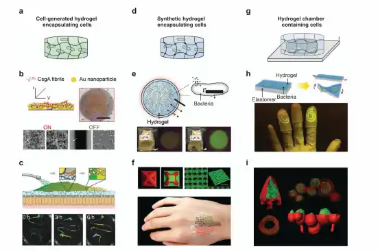Architecture Is About to Grow a Nervous System - Architect Magazine